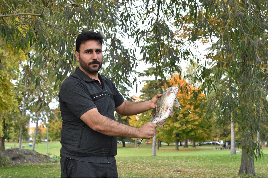 Pippa Norman – All you need to know about Pippa on one handy page.